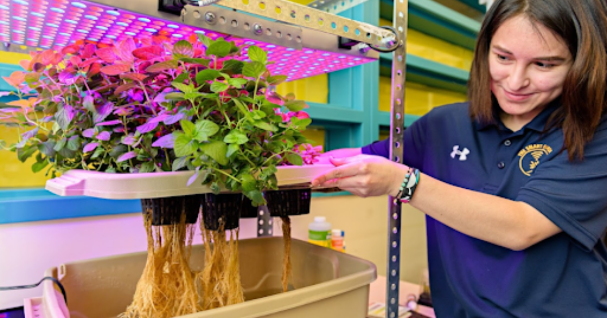 ISTE | Food computer is catalyst for growth at innovation lab